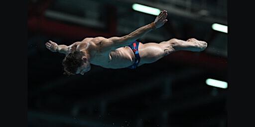 Sheffield Diving 2024 Diving Spectacular | Ponds Forge International ...