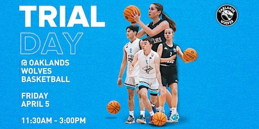 Oaklands Wolves Basketball Academy Trial Day (Current School years 11 ...