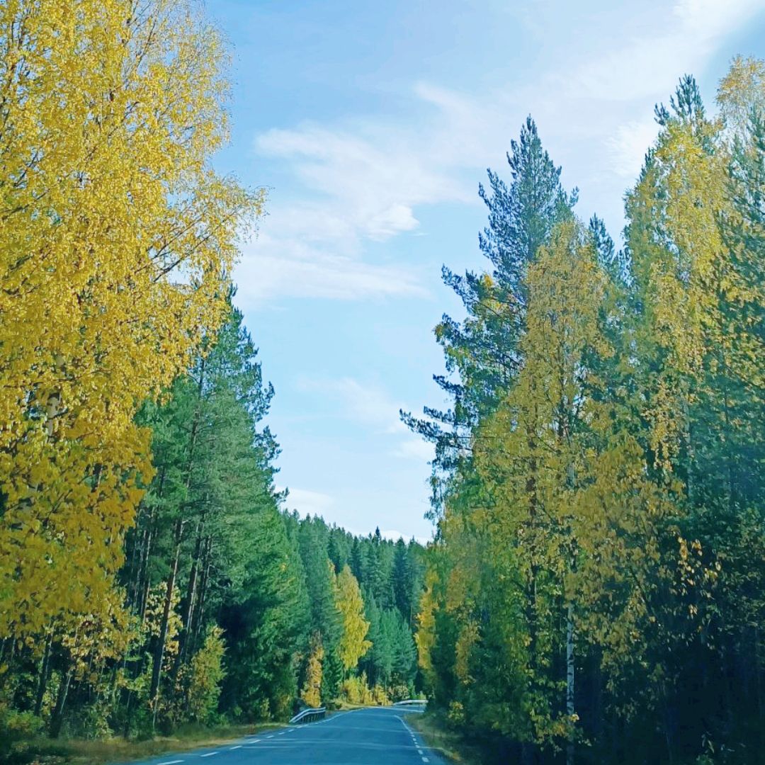 Kongsberg Travel Guide 2023 - Things to Do, What To Eat & Tips | Trip.com