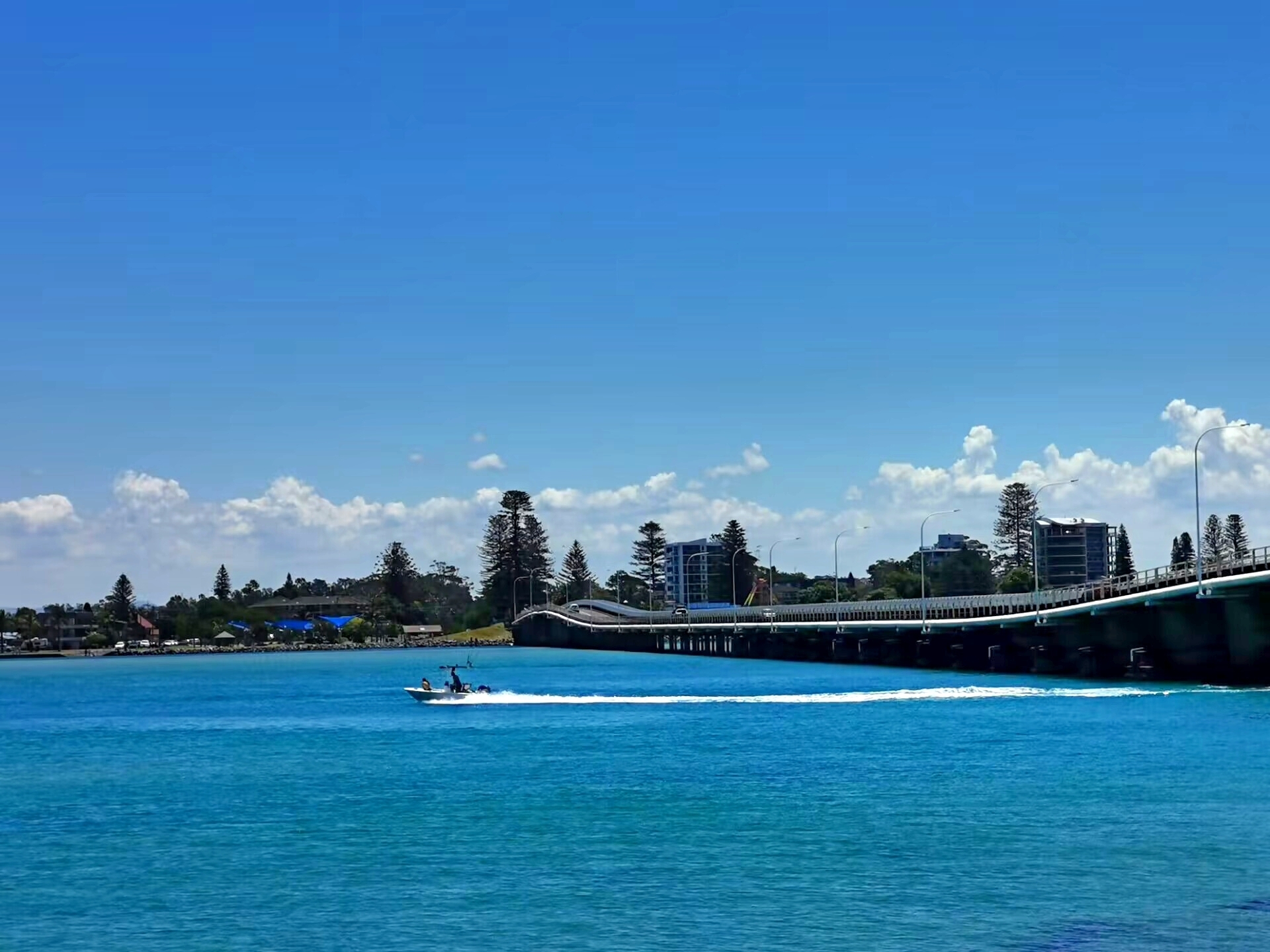 Forster Travel Guide 2024 - Things to Do, What To Eat & Tips | Trip.com