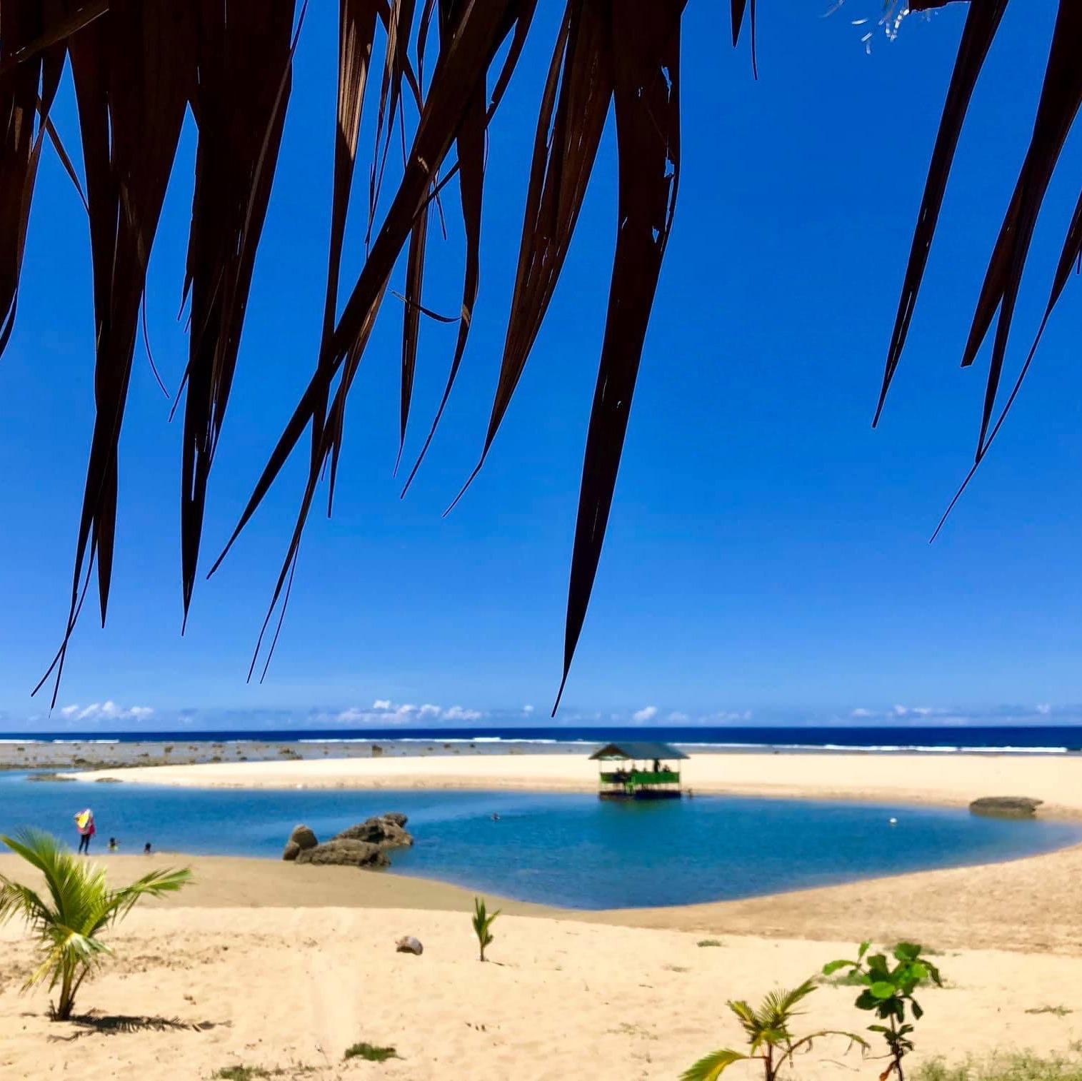 Samar Travel Guide 2024 - Things to Do, What To Eat & Tips | Trip.com