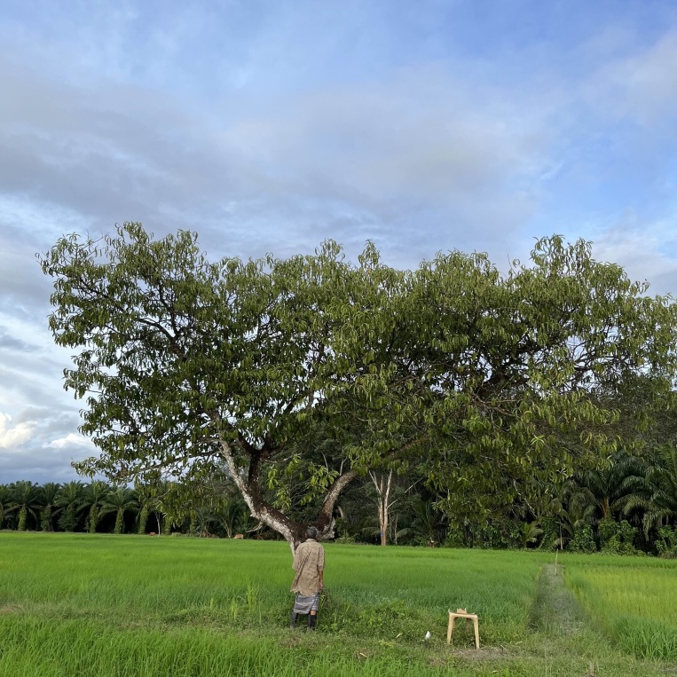 Trang Province 2023 Top Things to Do - Trang Province Travel Guides ...