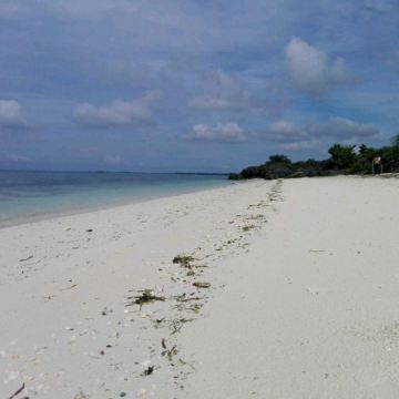Camp Sawi no more! | Trip.com Cebu Travelogues