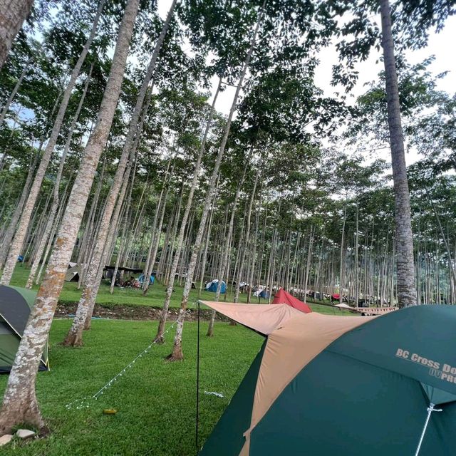 NA-WANA(ณ วนา) | Trip.com จังหวัดสระบุรี