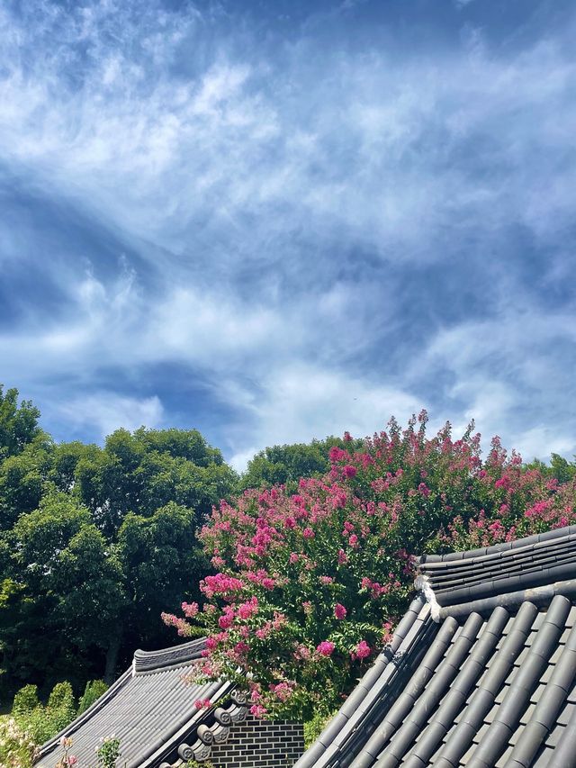 전주 여행 필독! 인생샷? 여기서 건지세요 | 트립닷컴 전주