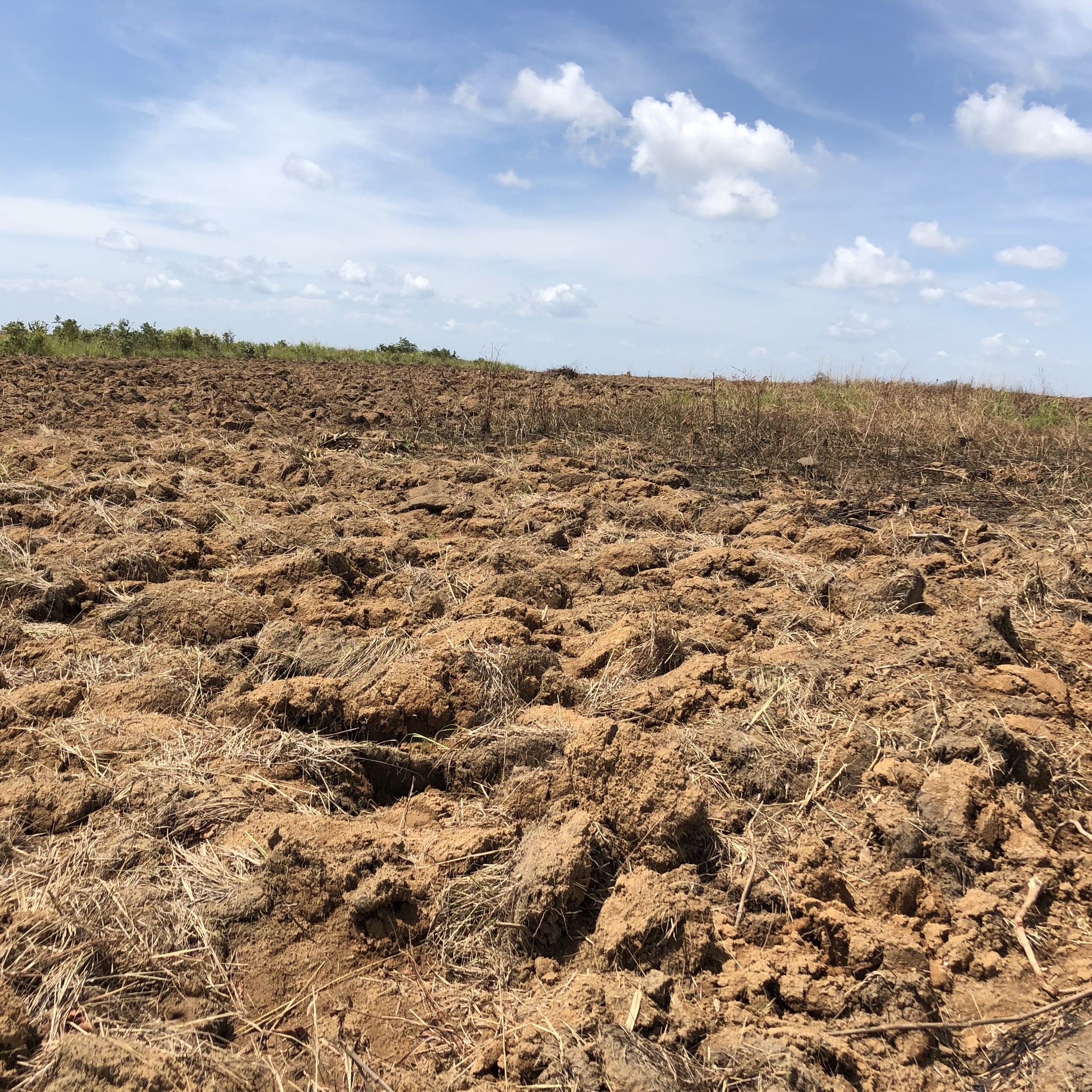 Kinshasa 2023 Top Things to Do - Kinshasa Travel Guides - Top ...