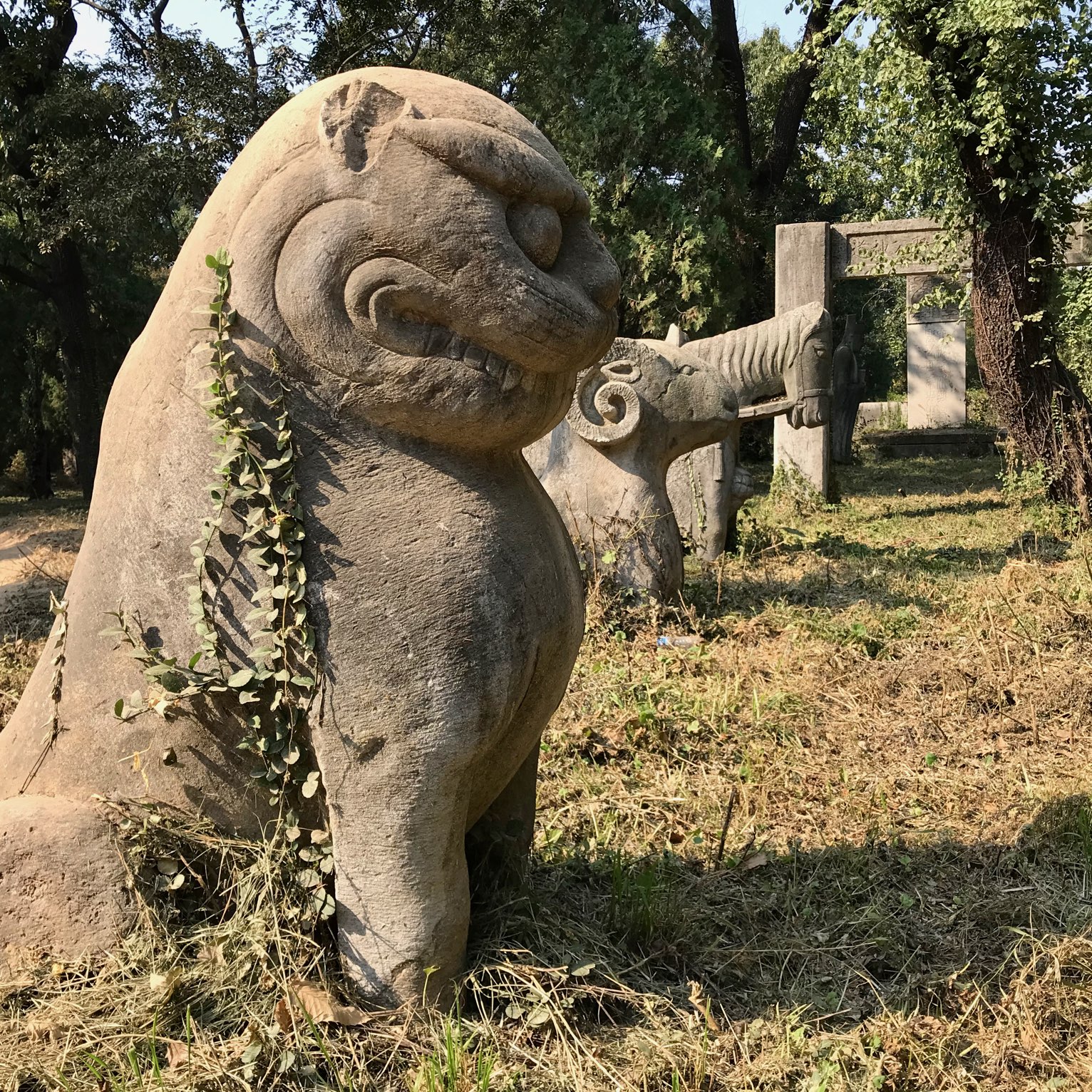 Qufu Travel Guide 2024 - Things to Do, What To Eat & Tips | Trip.com