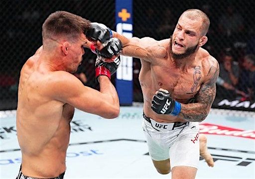 Technique Seminar w/ UFC Fighter Bassil "The Habibi" Hafez & UFC Fight ...