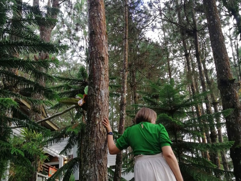 Marilog Travel Guide 2024 - Things to Do, What To Eat & Tips | Trip.com