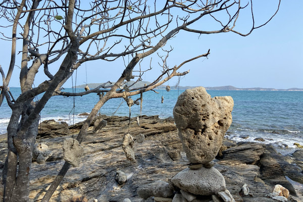 อุทยานแห่งชาติเขาแหลมหญ้า วิวสุดปัง | Trip.com