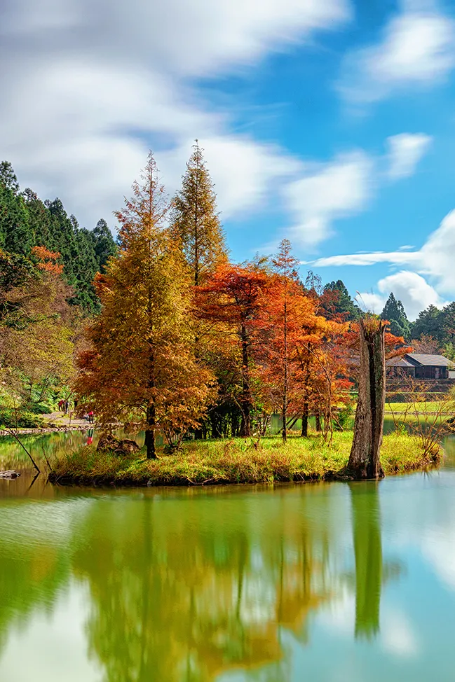 【2024香港紅葉季】沙田人氣賞楓景點推介：香港中文大學未圓湖 | 沙田的日期及行程 | Trip.com