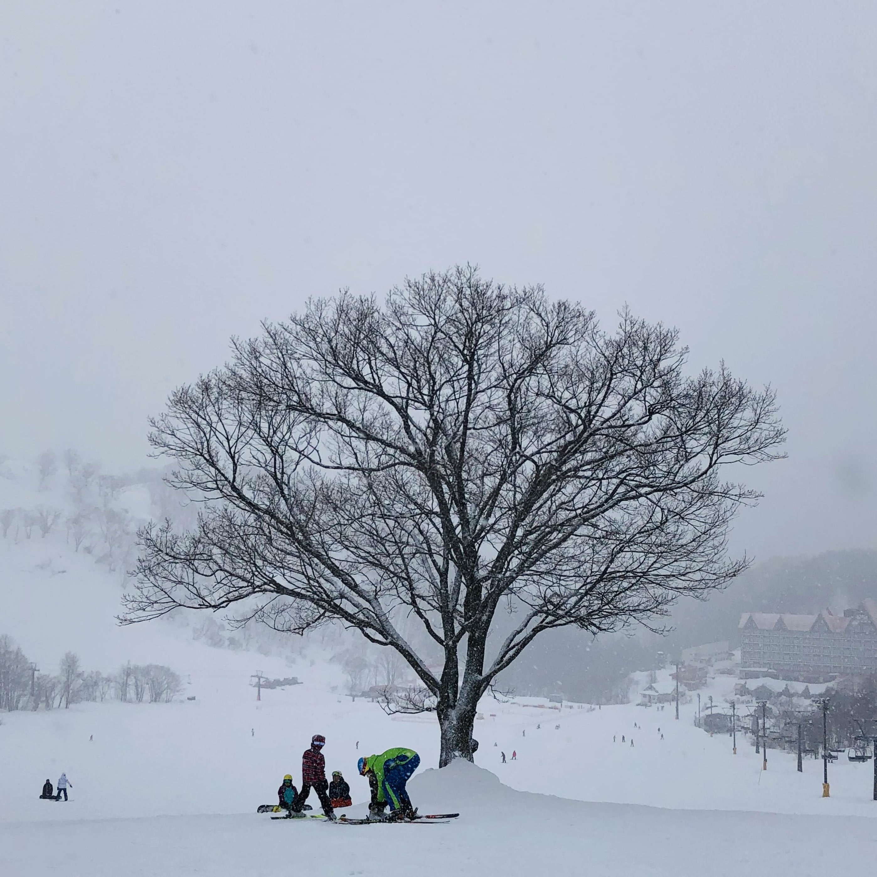 Otari Travel Guide 2024 - Things to Do, What To Eat & Tips | Trip.com