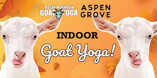 Indoor Goat Yoga - November 4th (ASPEN GROVE) Dates and Itineraries ...
