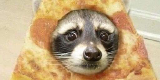 Bachelor of Arts end-of-year celebration / pizza party | Flinders ...