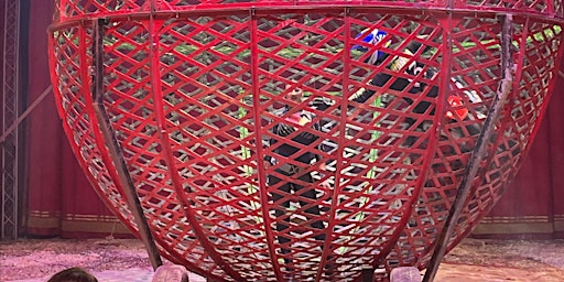 Daredevil Circus Gorey | Esmonde Street Car Park: Tickets, Dates ...