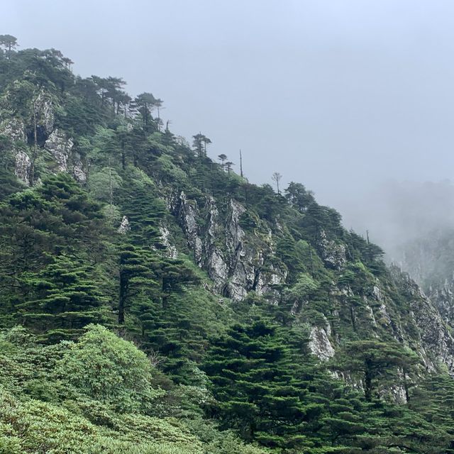 Ximatan cable car up Cangshan | Trip.com Dali Prefecture