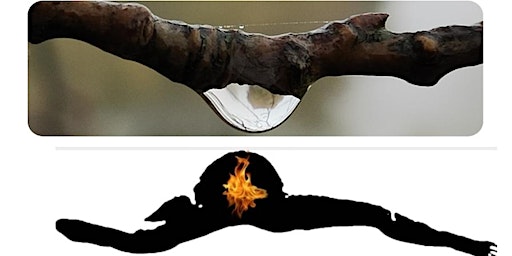 WALKING IT OUT ~ A Series of 4 Walks across Spring and Summer | Spike ...