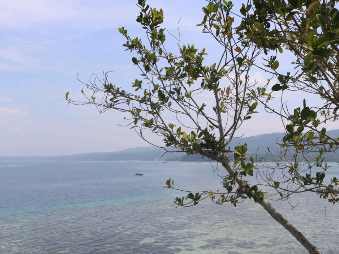 Samal Island Travel Guide 2024 - Things to Do, What To Eat & Tips ...