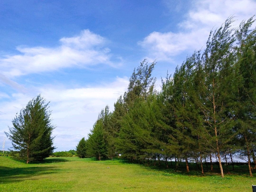 Mukah Travel Guide 2024 - Things to Do, What To Eat & Tips | Trip.com