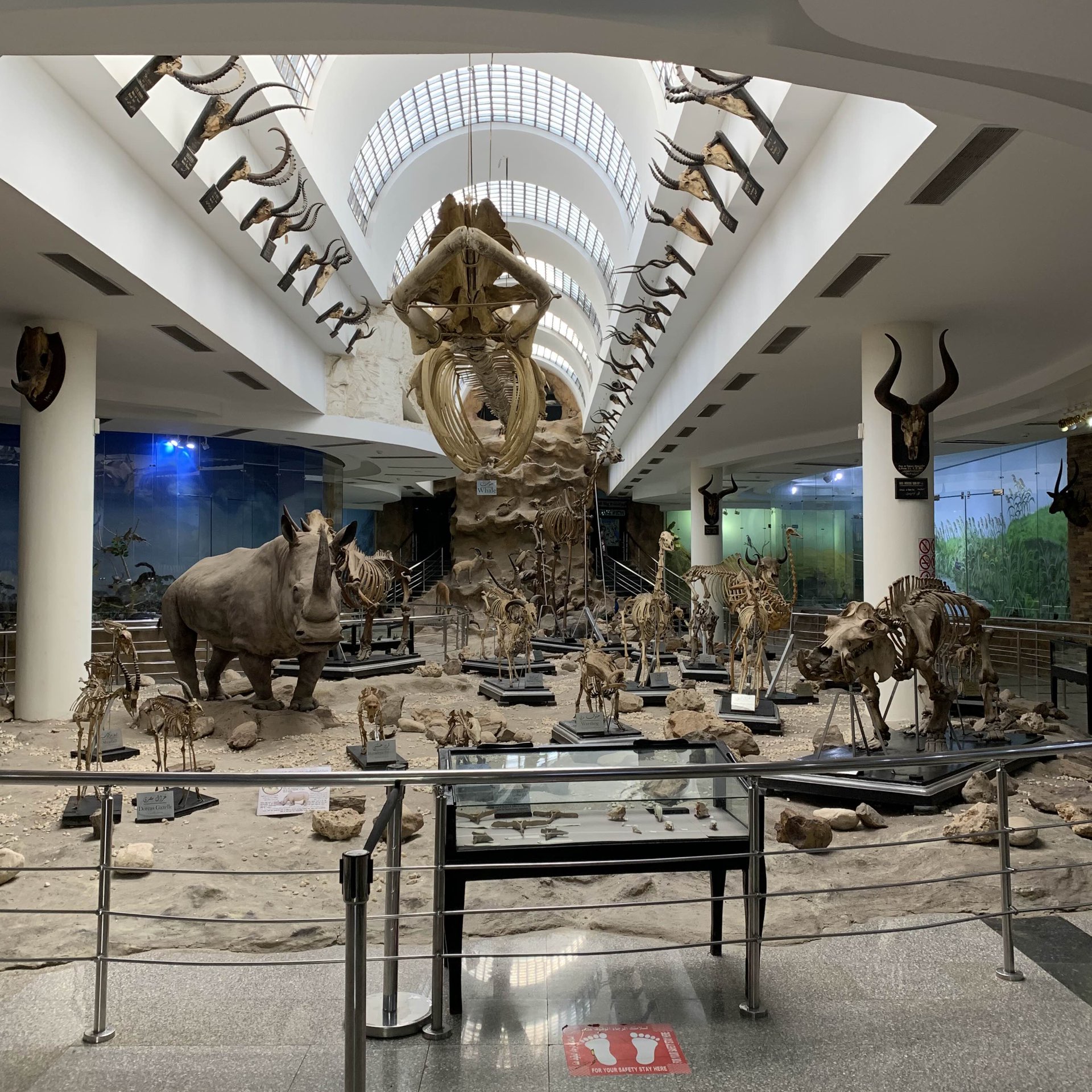 Oula Travel Guide 2024 - Things to Do, What To Eat & Tips | Trip.com