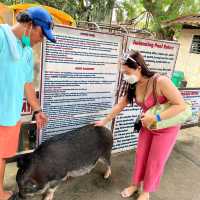 MILAS HILL INLAND RESORT | Trip.com Iloilo City