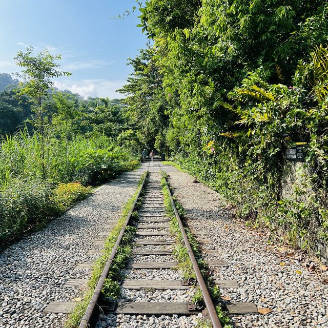 Rail Corridor Walk | Trip.com Singapore
