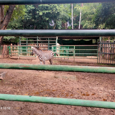 Fuzhou Zoo