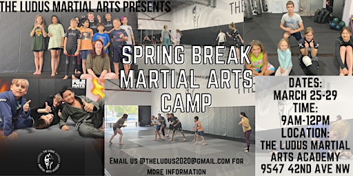 SPRING BREAK MARTIAL ARTS CAMP | The Ludus Martial Arts Academy ...