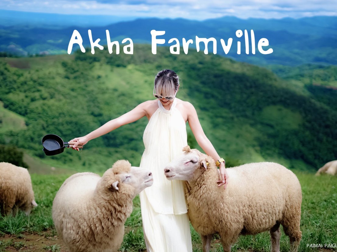 Akha Farmville | Trip.com กาญจนบุรี บล็อกท่องเที่ยว