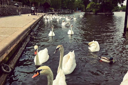 The riverside pier in Windsor | Trip.com Windsor Travelogues