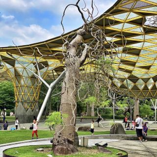 Rui'an 2023 Top Things to Do - Rui'an Travel Guides - Top Recommended ...