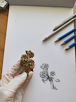 Home School at the Museum object handling and drawing with Daniella 8 ...