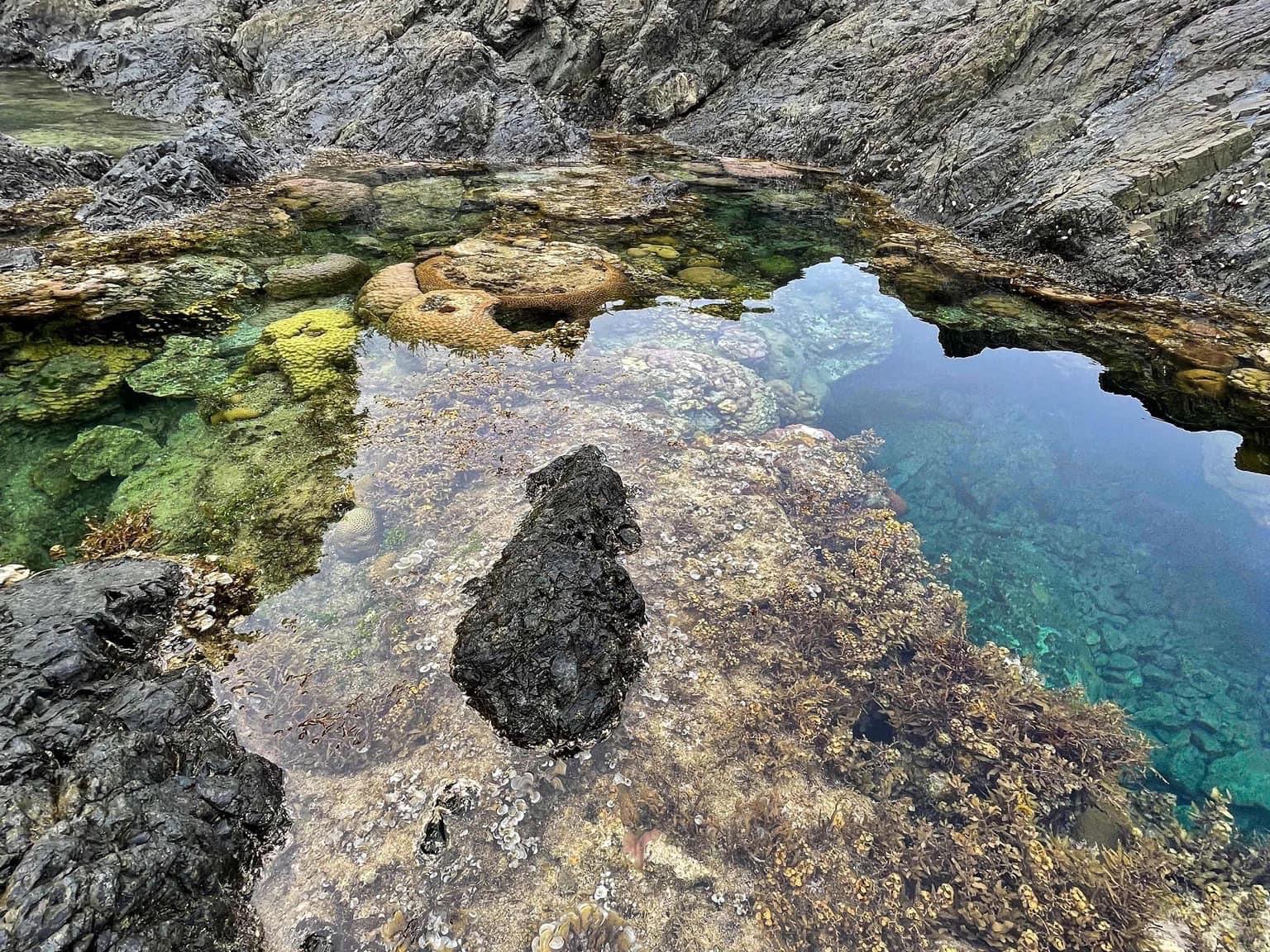 Virac Travel Guide 2024 - Things to Do, What To Eat & Tips | Trip.com