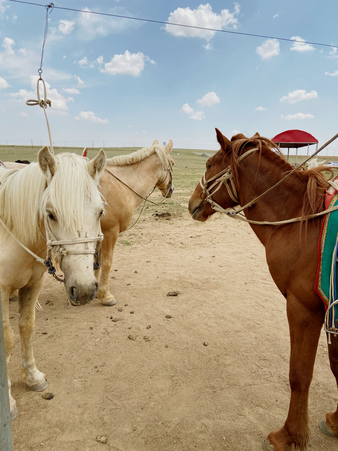 Inner Mongolia Travel Guide 2024 - Things to Do, What To Eat & Tips ...