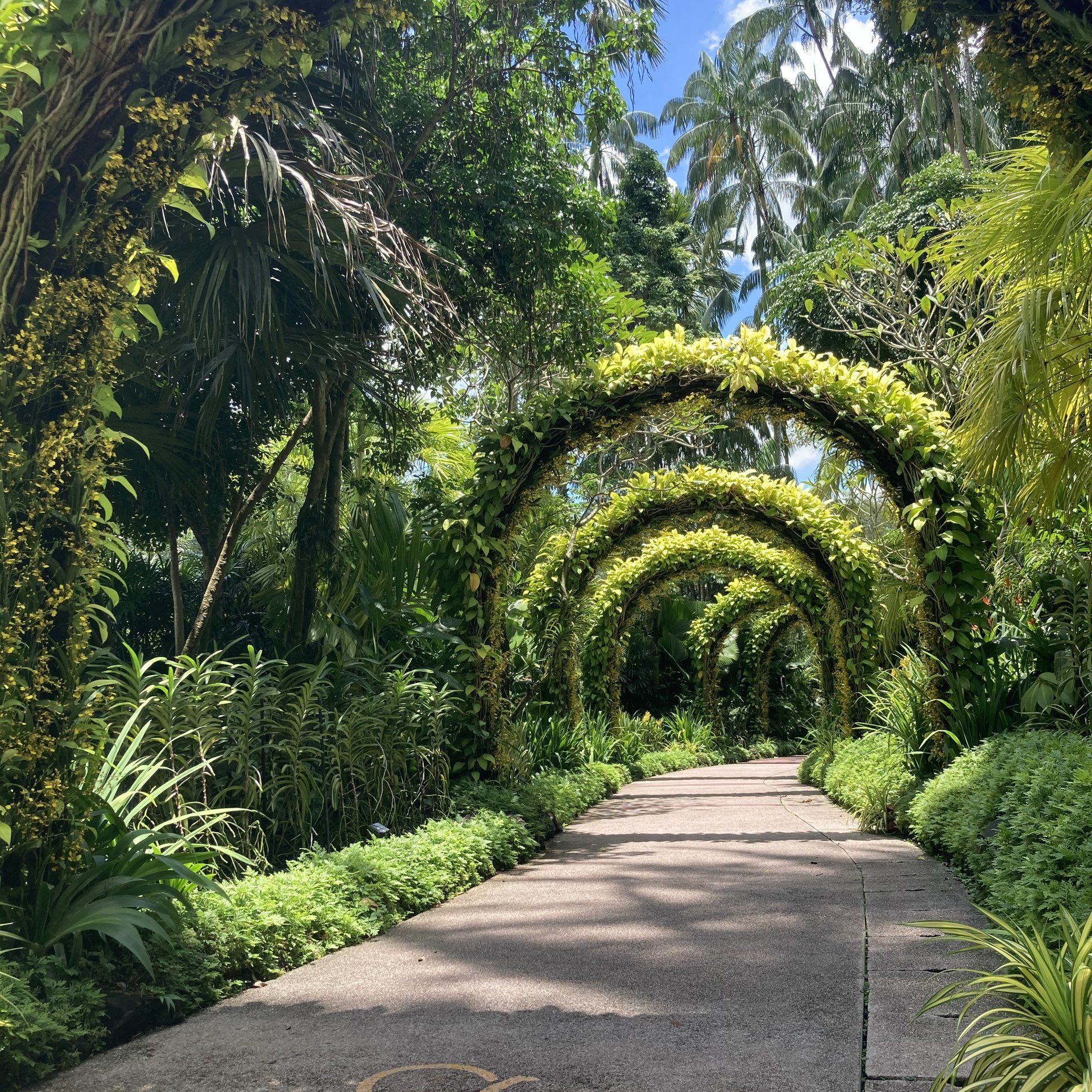 Orchid Plaza Singapore Botanic Gardens | Fasci Garden