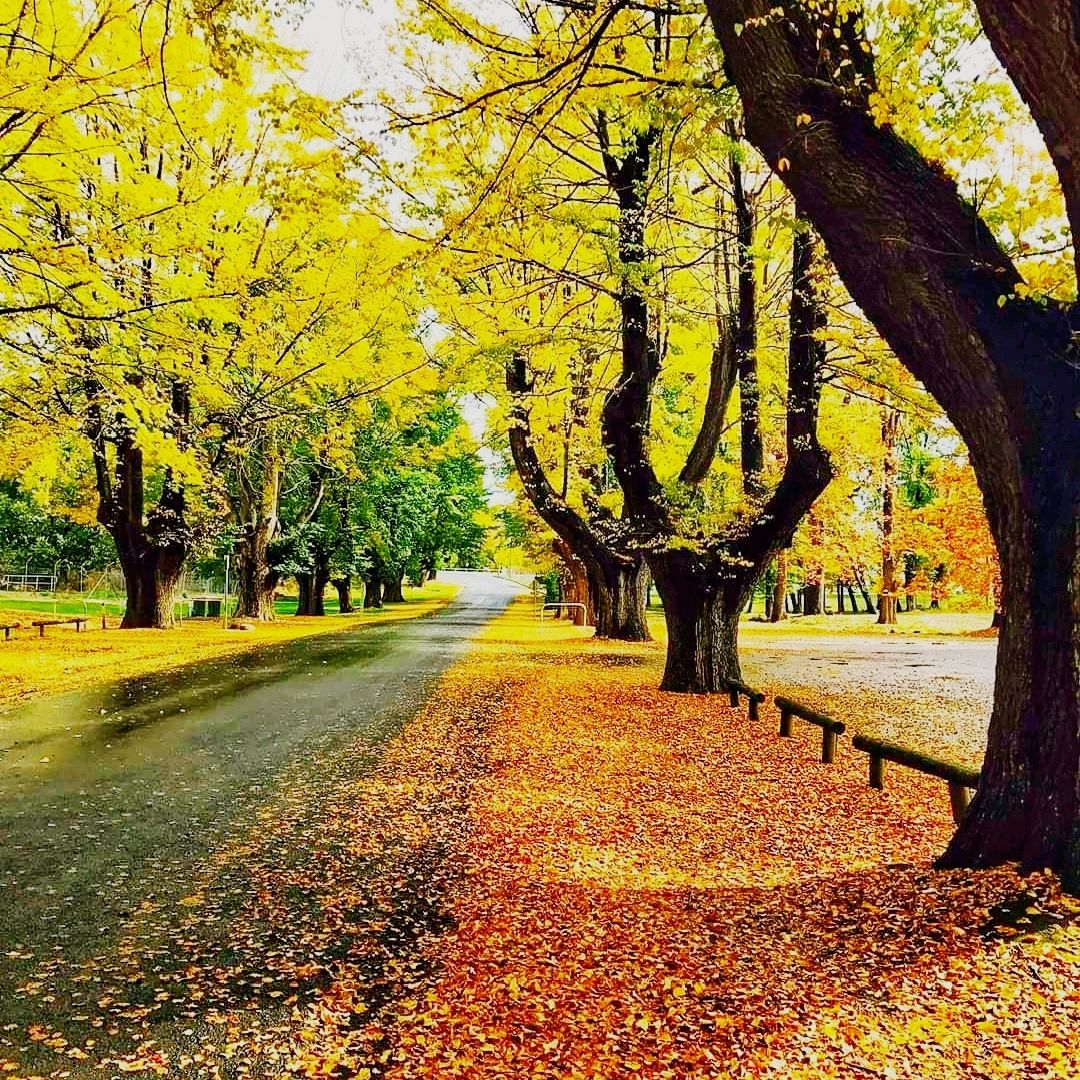 Tumut Travel Guide 2023 - Things to Do, What To Eat & Tips | Trip.com