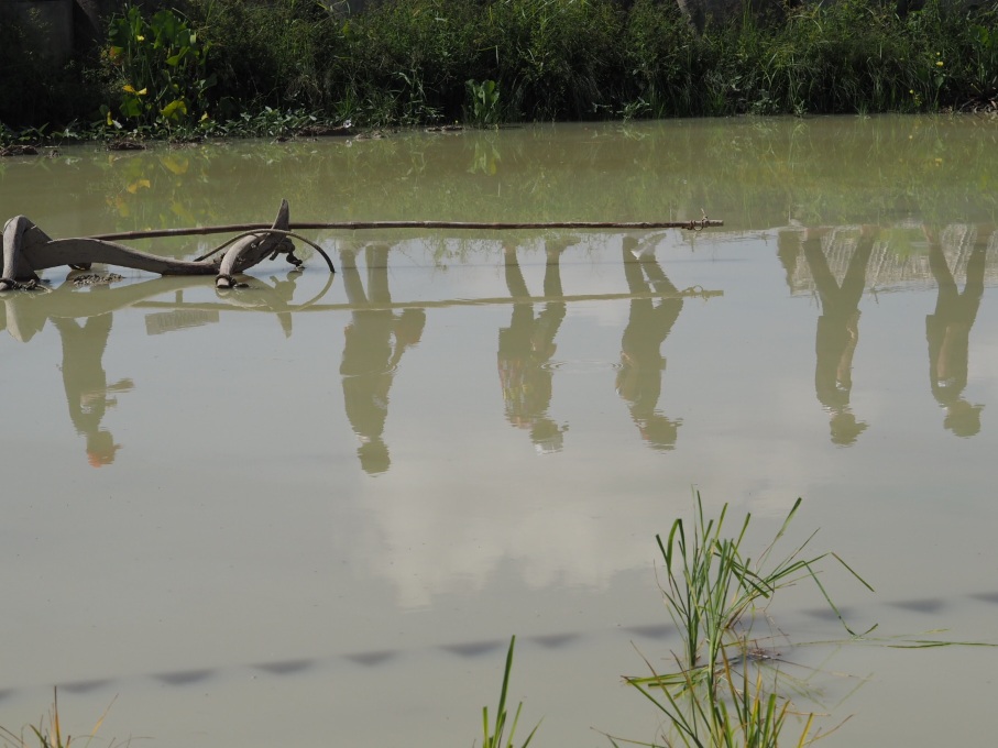 Phatthalung Province 2023 Top Things to Do - Phatthalung Province ...