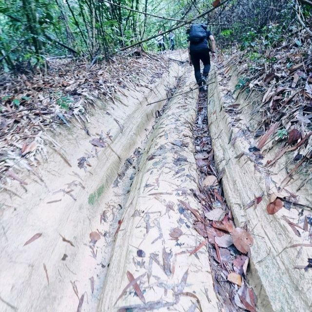 FASCINATING AND STUNNING KEMENSAH TRAIL ️ | Trip.com Kuala Lumpur