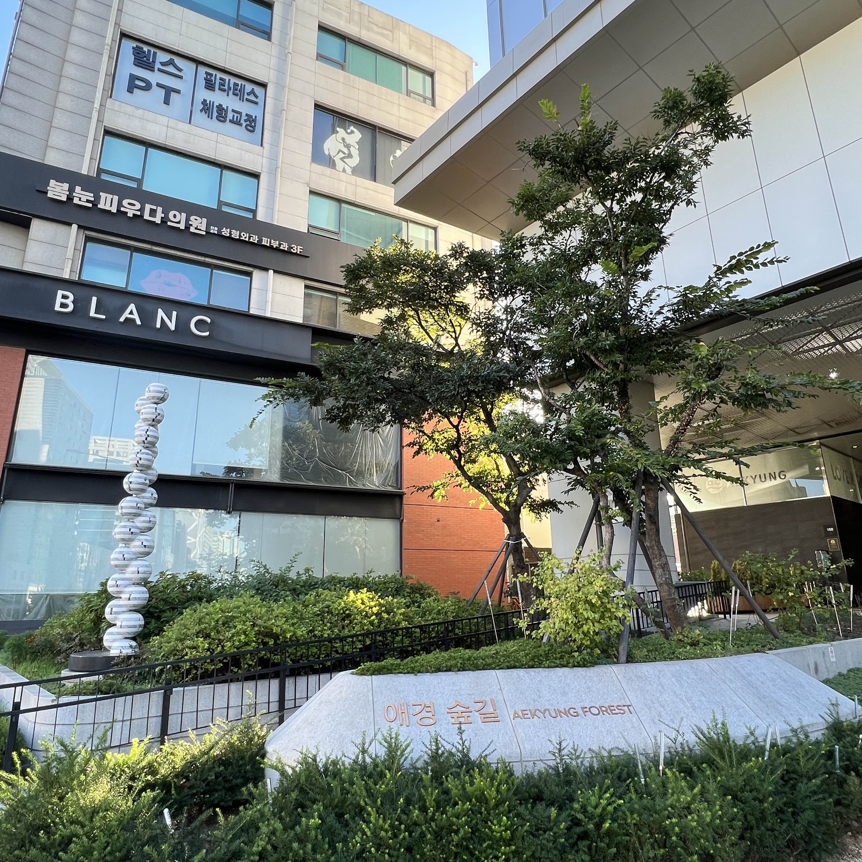 Sinchon/Hongdae Travel Guide 2024 - Things to Do, What To Eat & Tips ...