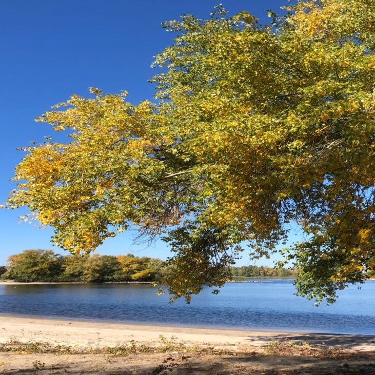 Cherkasy Travel Guide 2023 - Things to Do, What To Eat & Tips | Trip.com