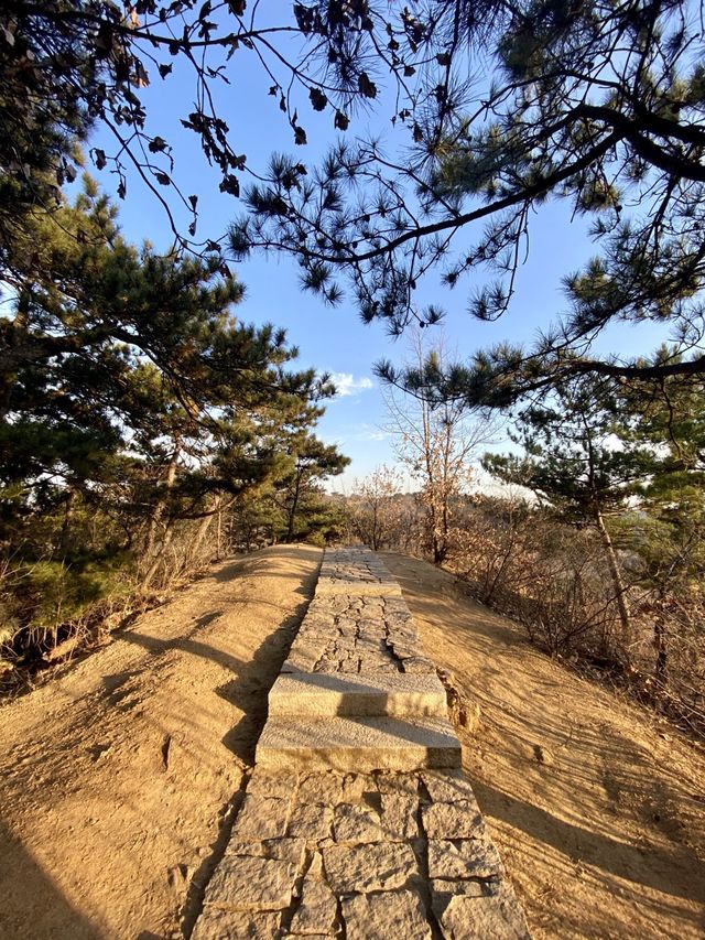 Yinshan Pagoda Forest / Buddhist temples / 4A | Trip.com Beijing