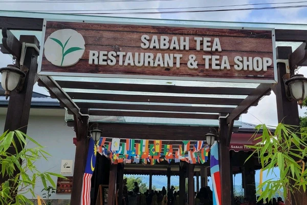 SABAH TEA | Trip.com Ranau Travelogues