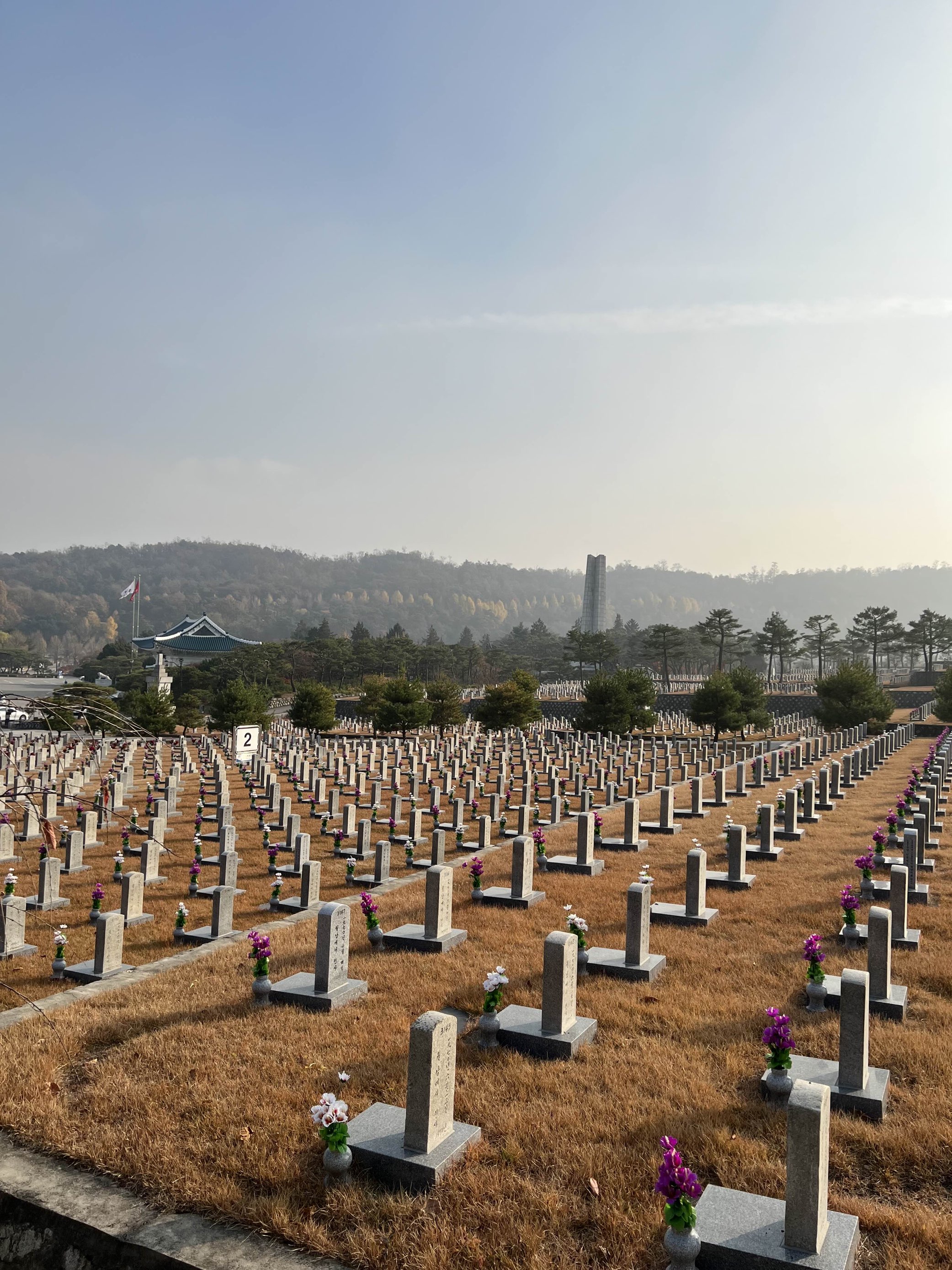 Sheikh Zayed Grave Yard
