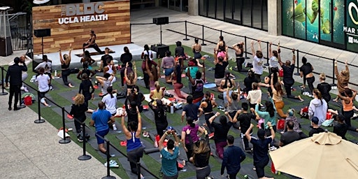 APRIL FITSPOLA FITNESS CLASSES - Presented by UCLA Health | THE BLOC ...