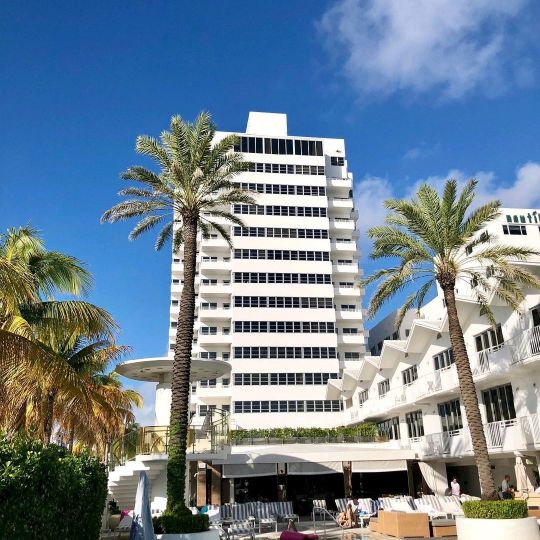 Things to Do in Miami Beach in 2024 - Top Attractions, Local Food ...