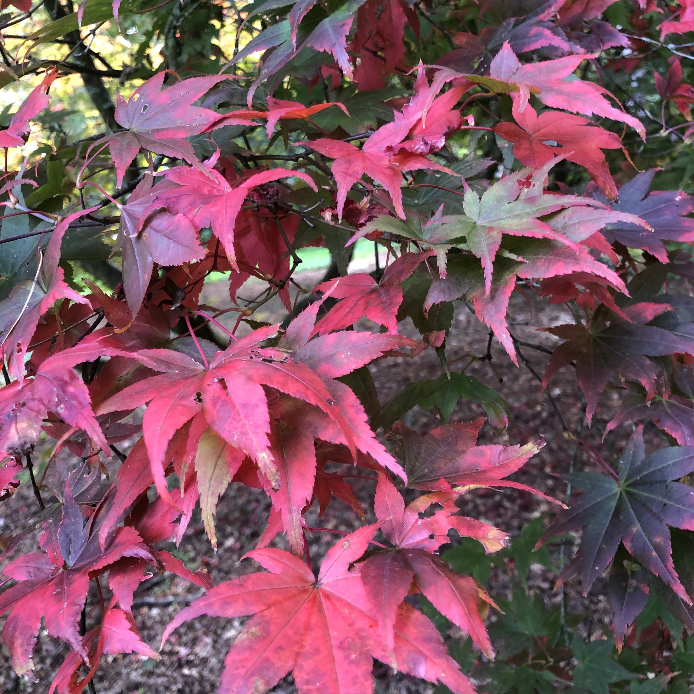 Busbridge 2023 Top Things to Do - Busbridge Travel Guides - Top ...