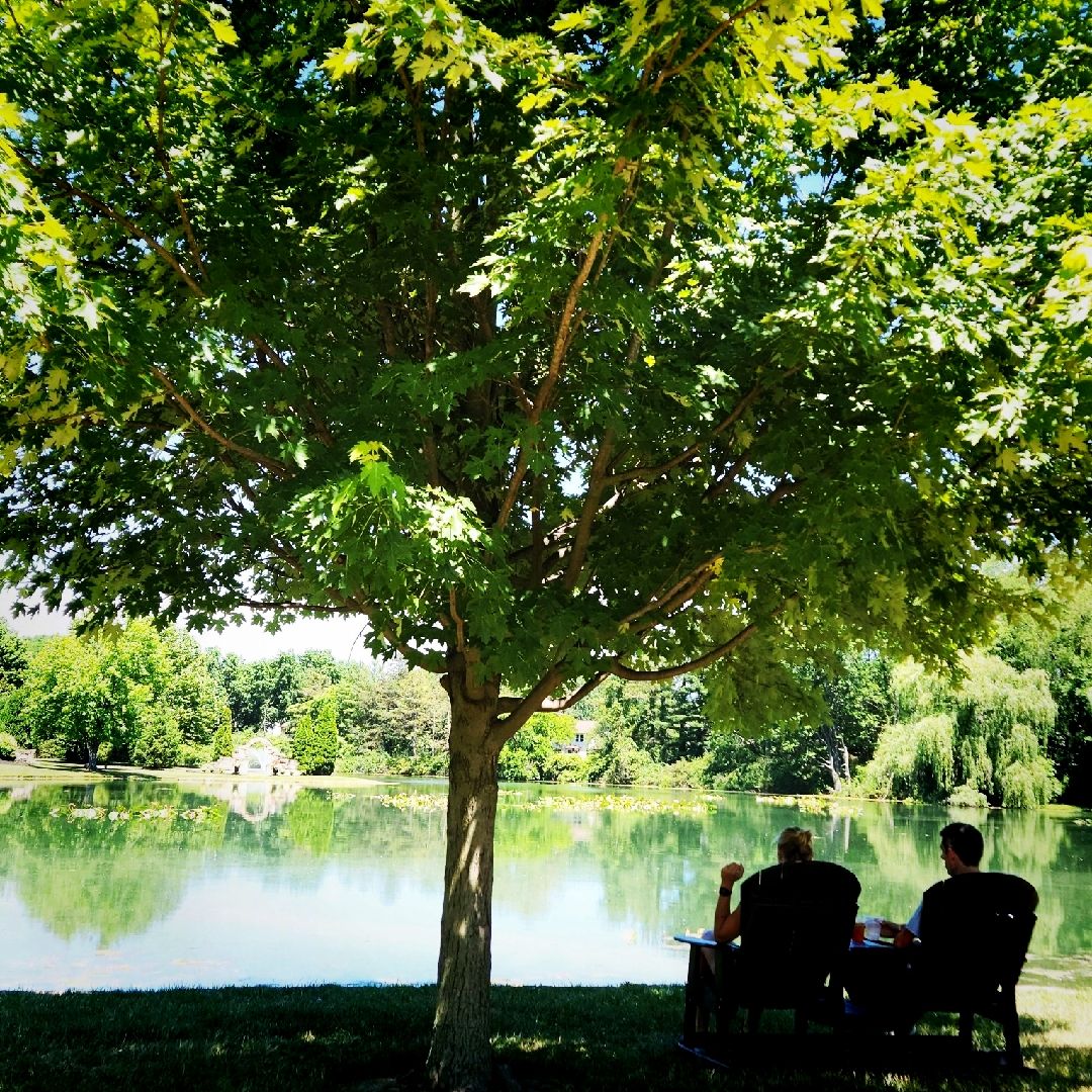 Canton Travel Guide 2023 - Things to Do, What To Eat & Tips | Trip.com