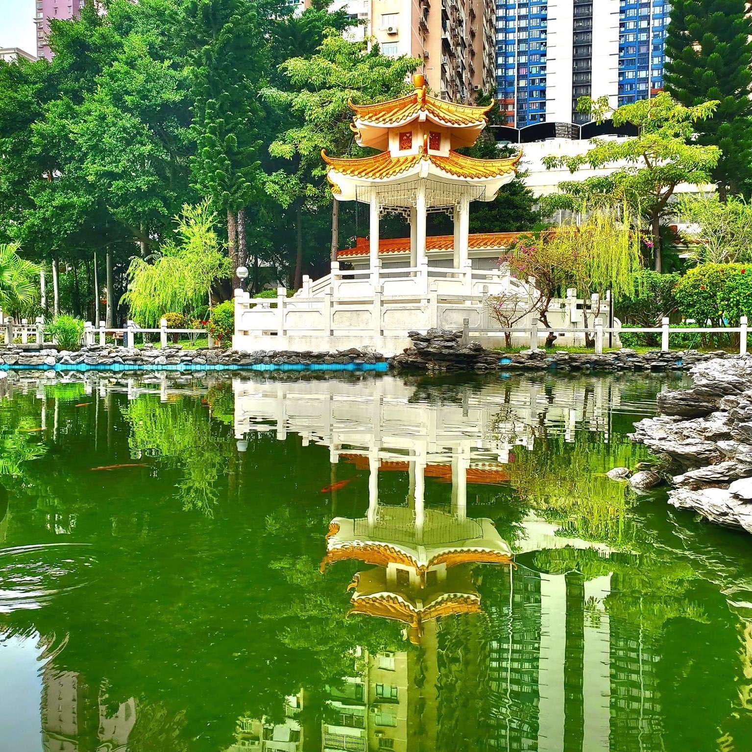 Macau Flower Garden | Best Flower Site