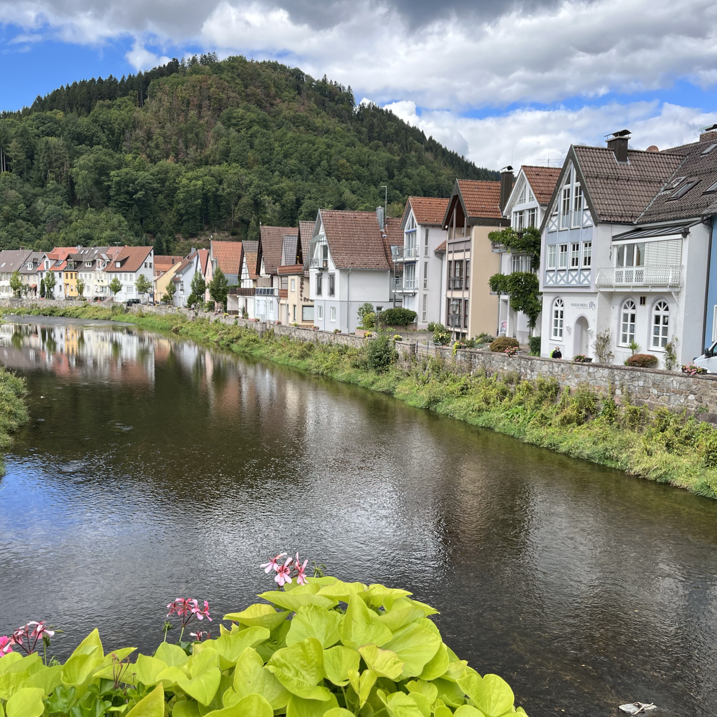 Wolfach Travel Guide 2024 - Things to Do, What To Eat & Tips | Trip.com