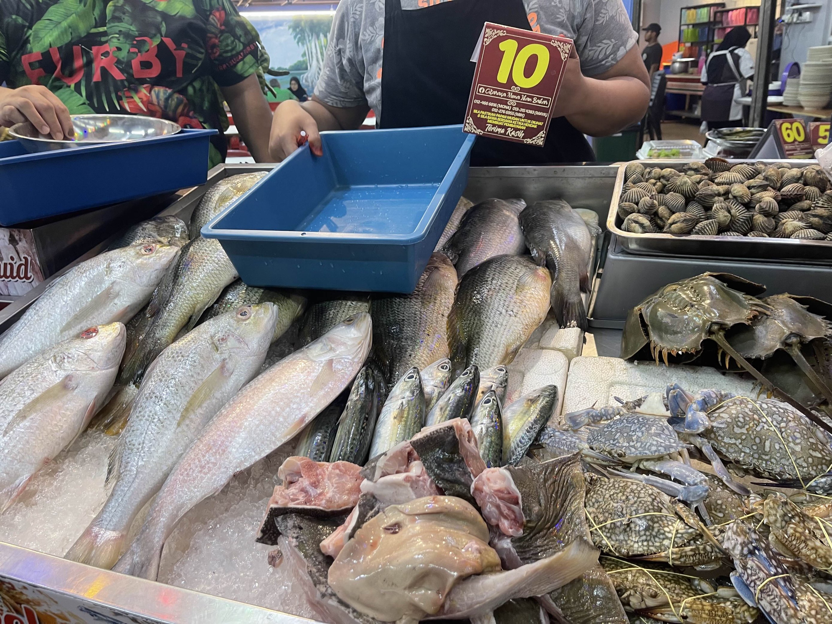 Perlis Travel Guide 2024 - Things to Do, What To Eat & Tips | Trip.com